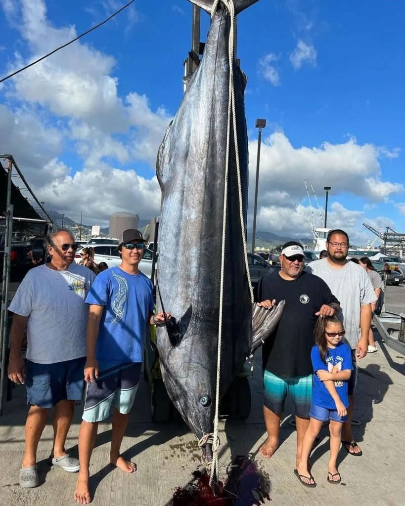 GranderWatch – Largest & Only Collection of Grander Billfish in the World